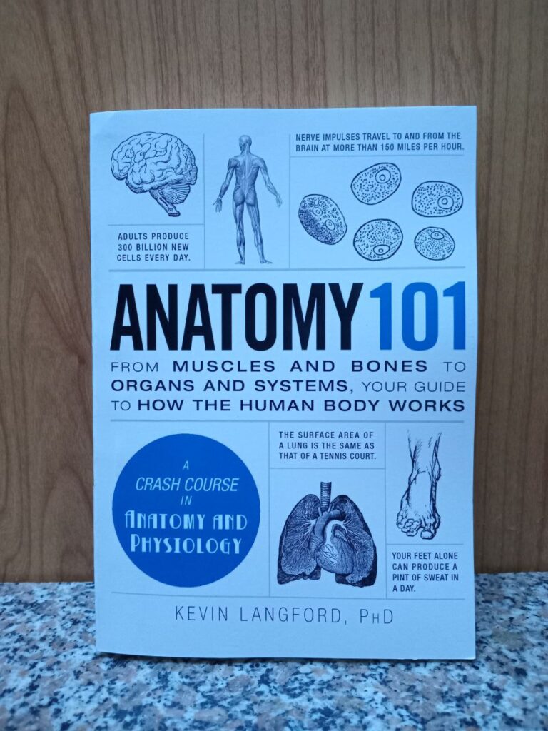 Anatomy 101 - Yangon Book Shop